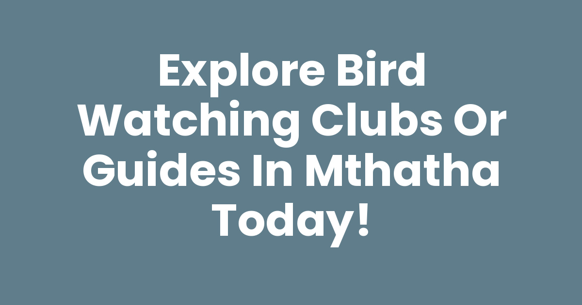 Explore Bird Watching Clubs Or Guides In Mthatha Today! - Mthathas