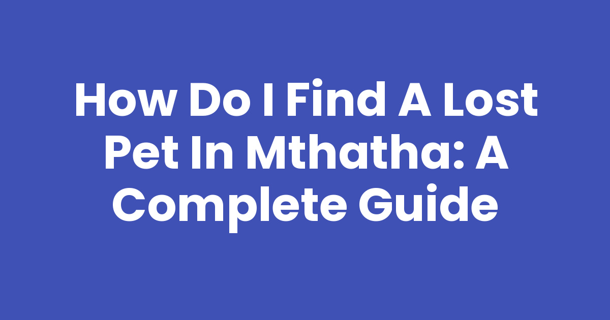 How Do I Find A Lost Pet In Mthatha: A Complete Guide - Mthathas
