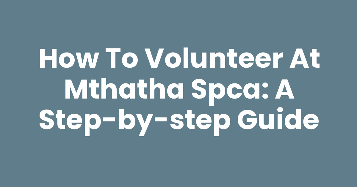 How To Volunteer At Mthatha Spca: A Step-By-Step Guide - Mthathas
