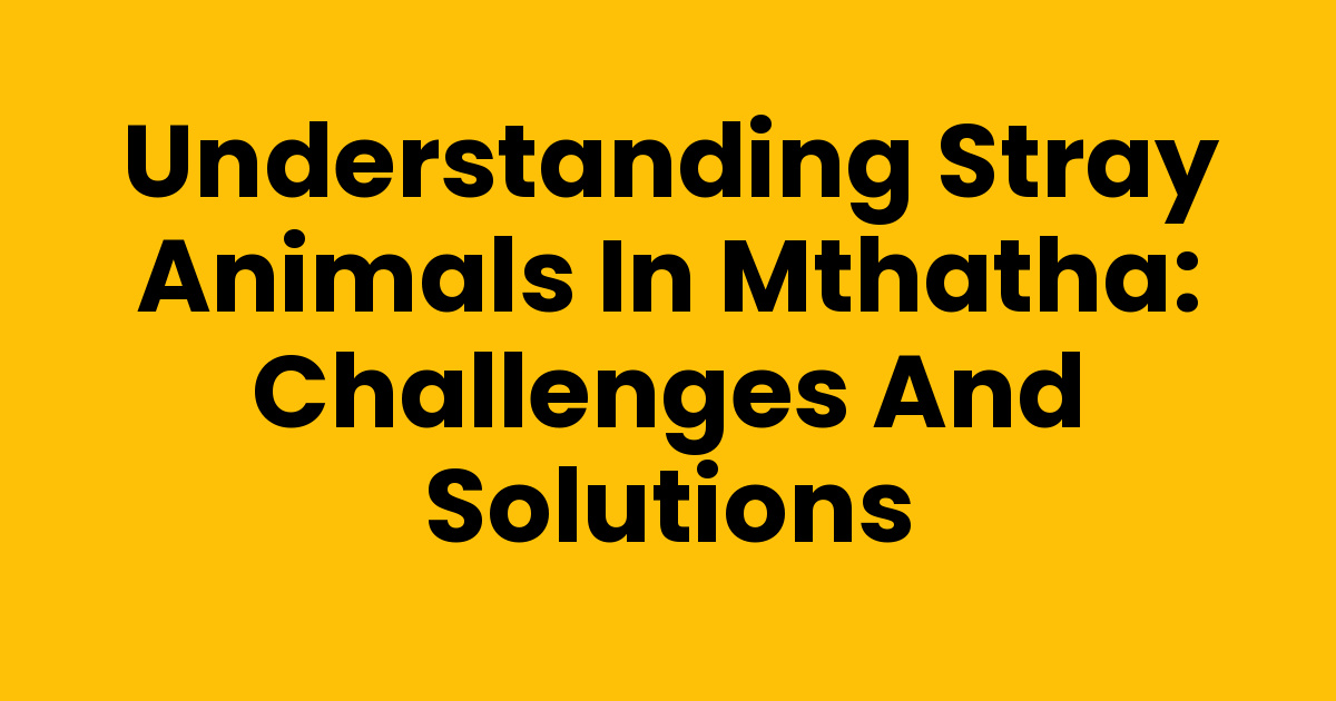 Understanding Stray Animals In Mthatha: Challenges and Solutions - Mthathas