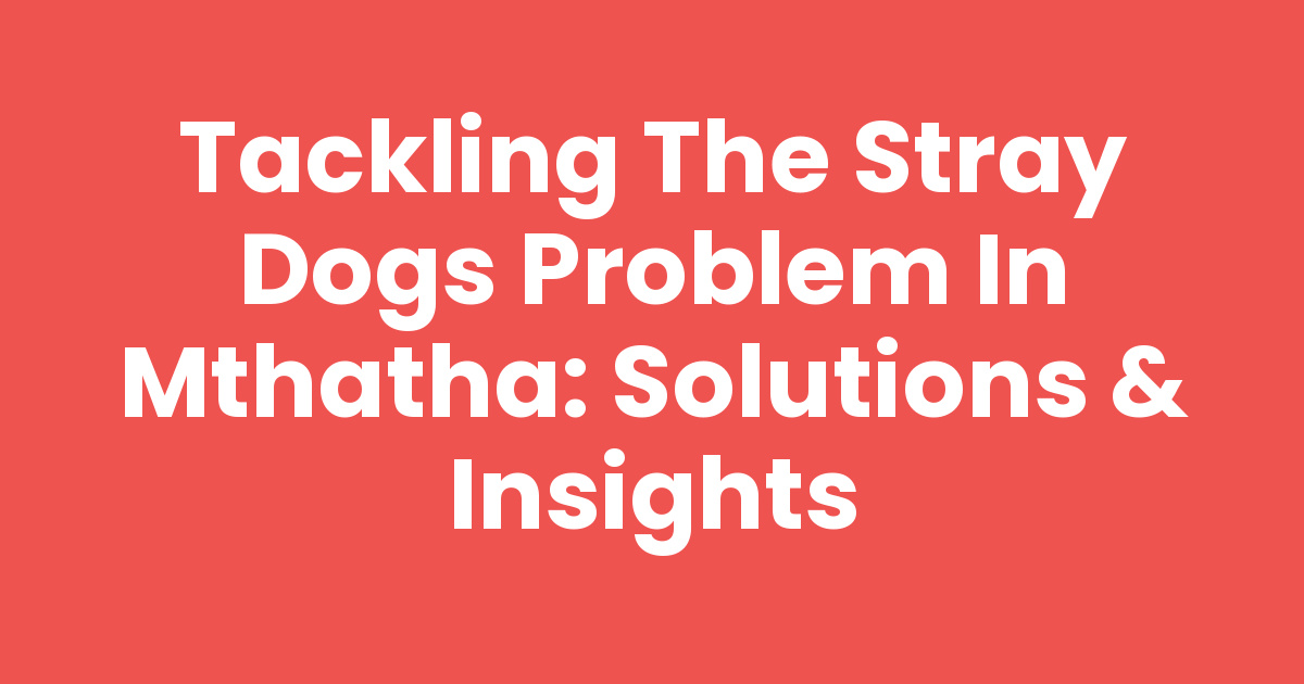 Tackling the Stray Dogs Problem In Mthatha: Solutions & Insights - Mthathas