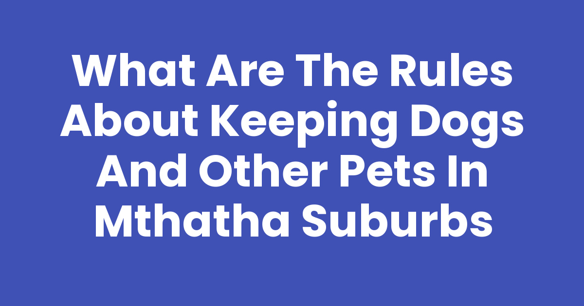 What Are The Rules About Keeping Dogs And Other Pets In Mthatha Suburbs ...