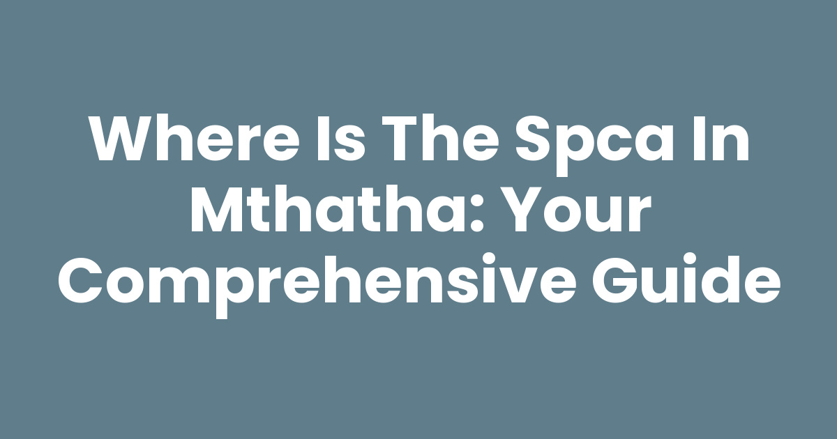Where Is The Spca In Mthatha: Your Comprehensive Guide - Mthathas